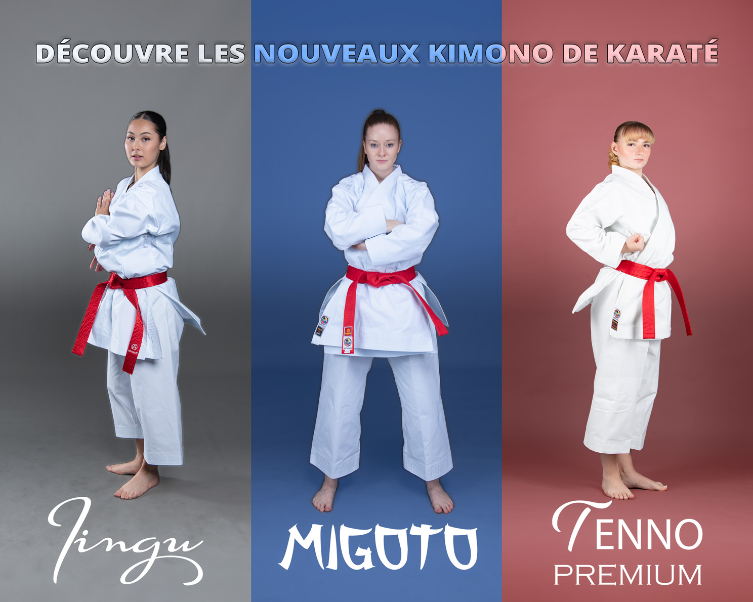 Page d'accueil de la boutique en ligne d'arts martiaux Budoland. TOP ...