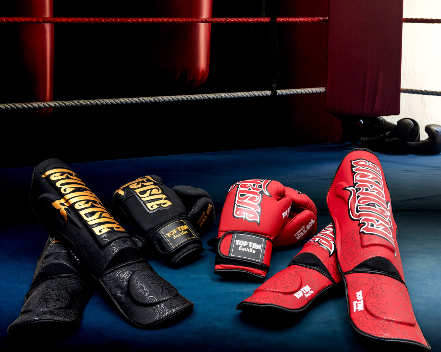 Page d'accueil de la boutique en ligne d'arts martiaux Budoland. TOP ...