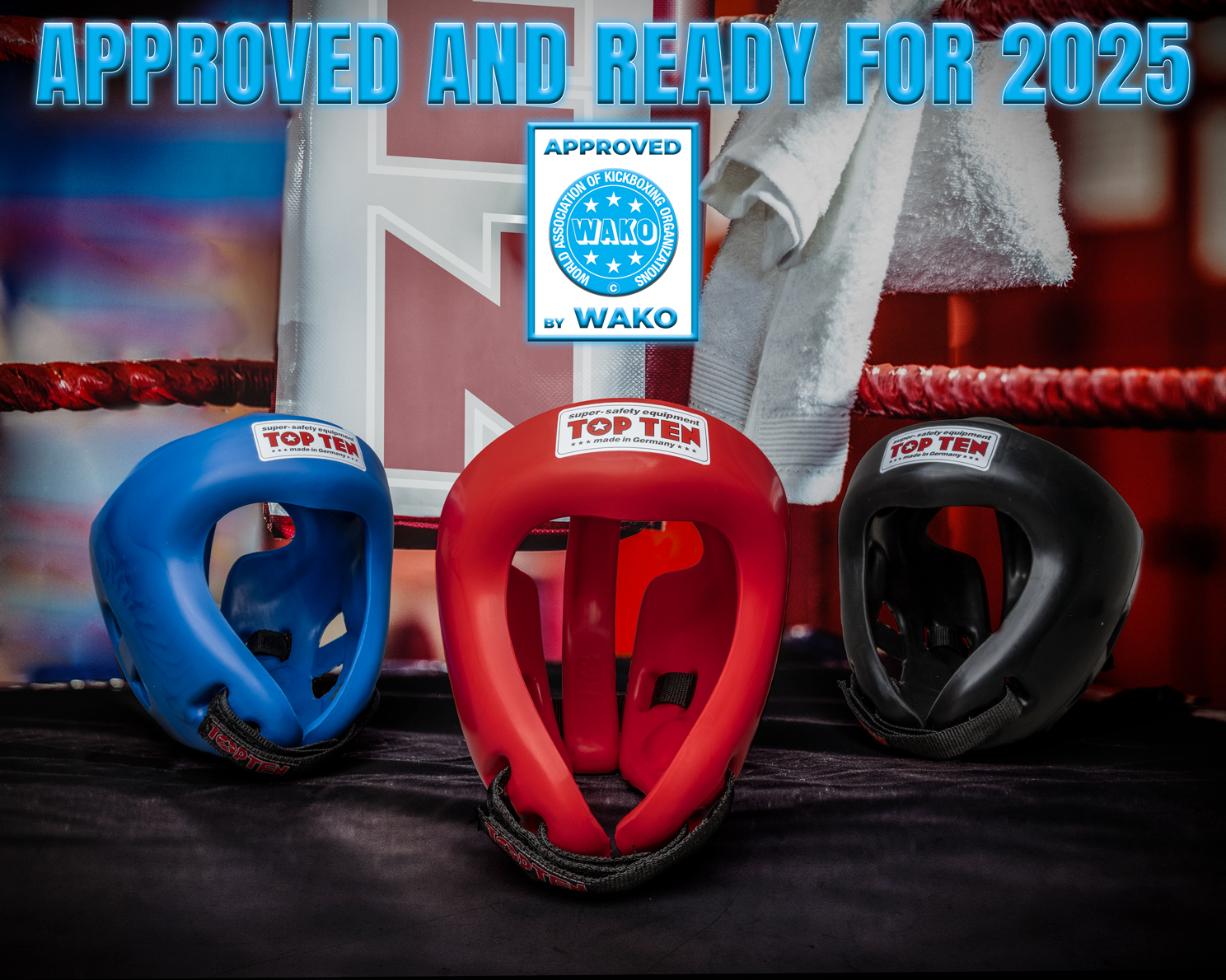 Page d'accueil de la boutique en ligne d'arts martiaux Budoland. TOP ...